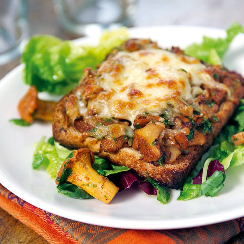 Pieni sieniopas - Valio