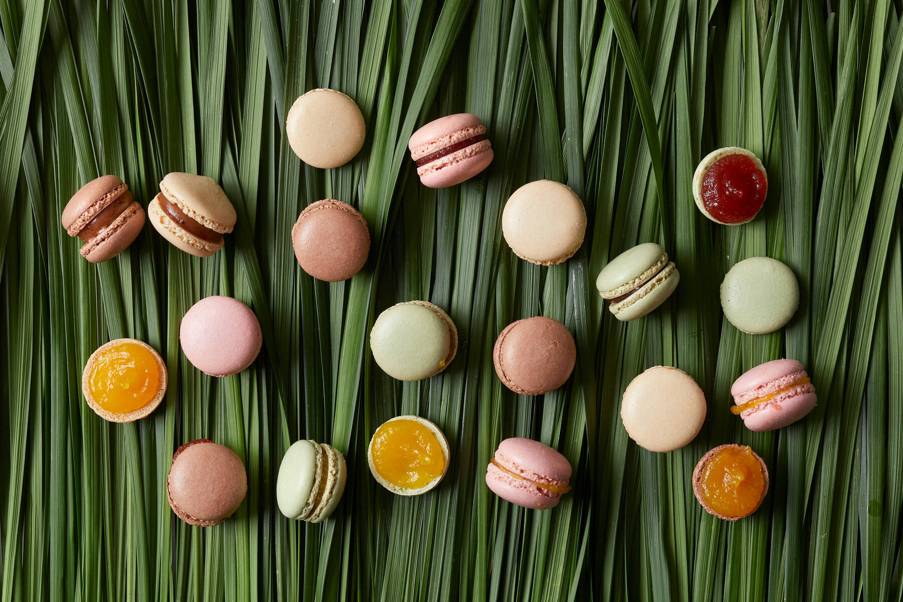 Macarons leivokset - Valio Aimo