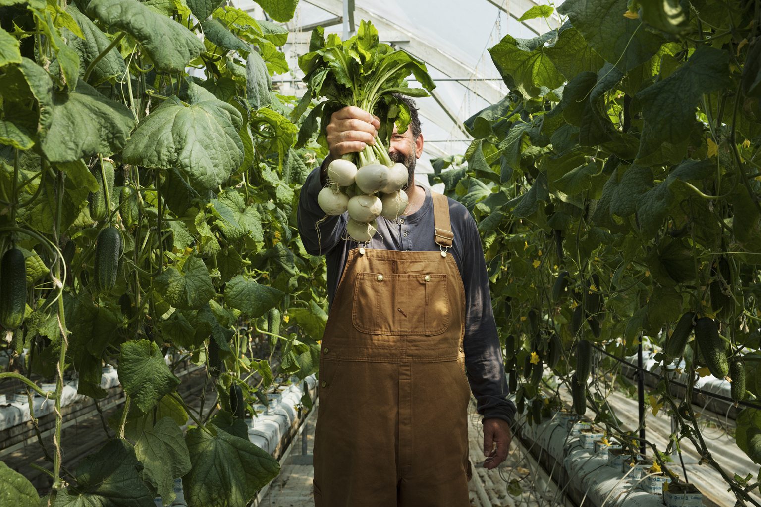 Etusivu - Valio Aimo